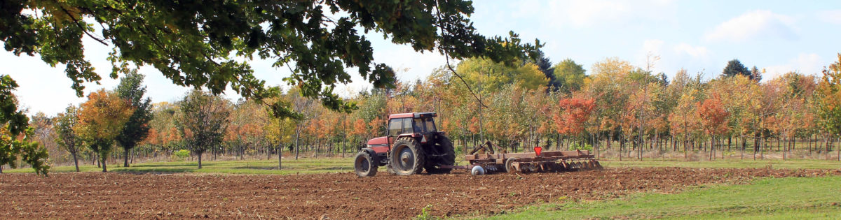 tractor discing - V. Kraus Nurseries LTD.